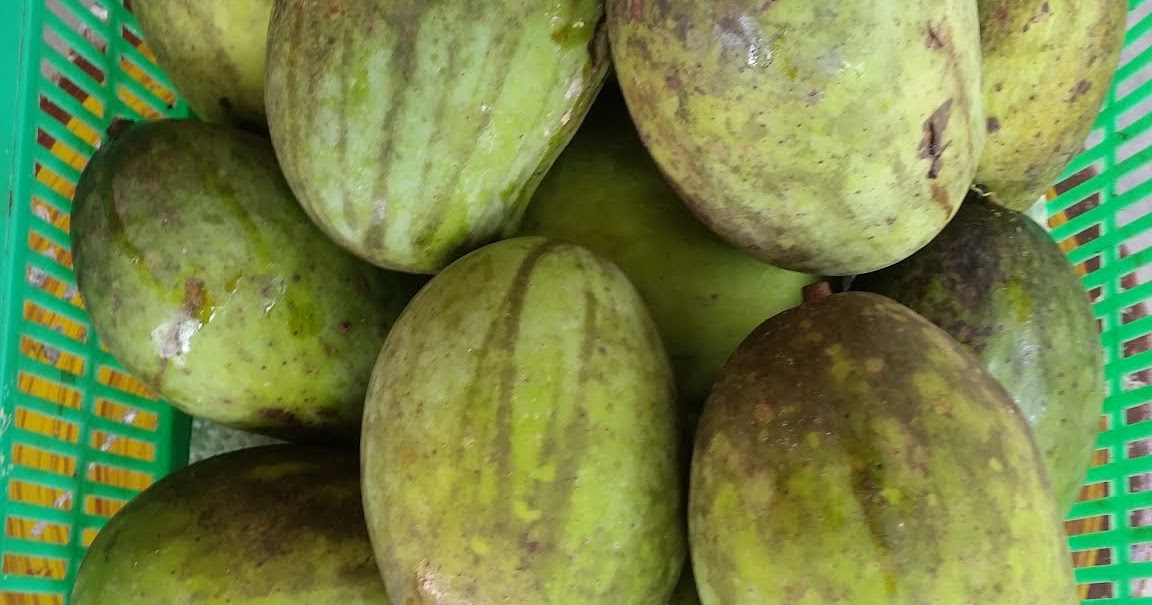 Warisan Petani: Musim Buah Kuini