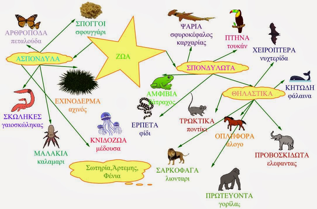 Το blogaki του 2ου Δημ. Σχολείου Συκεών: ΕΝΝΟΙΟΛΟΓΙΚΟΣ ΧΑΡΤΗΣ ΤΩΝ ΖΩΩΝ