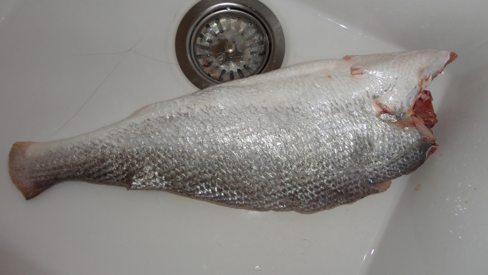Hoy para comer pescado | Fish food uin Kuwait