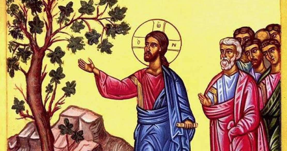 Orthodox Way of Life: Meaning of the Parable of the Fig Tree