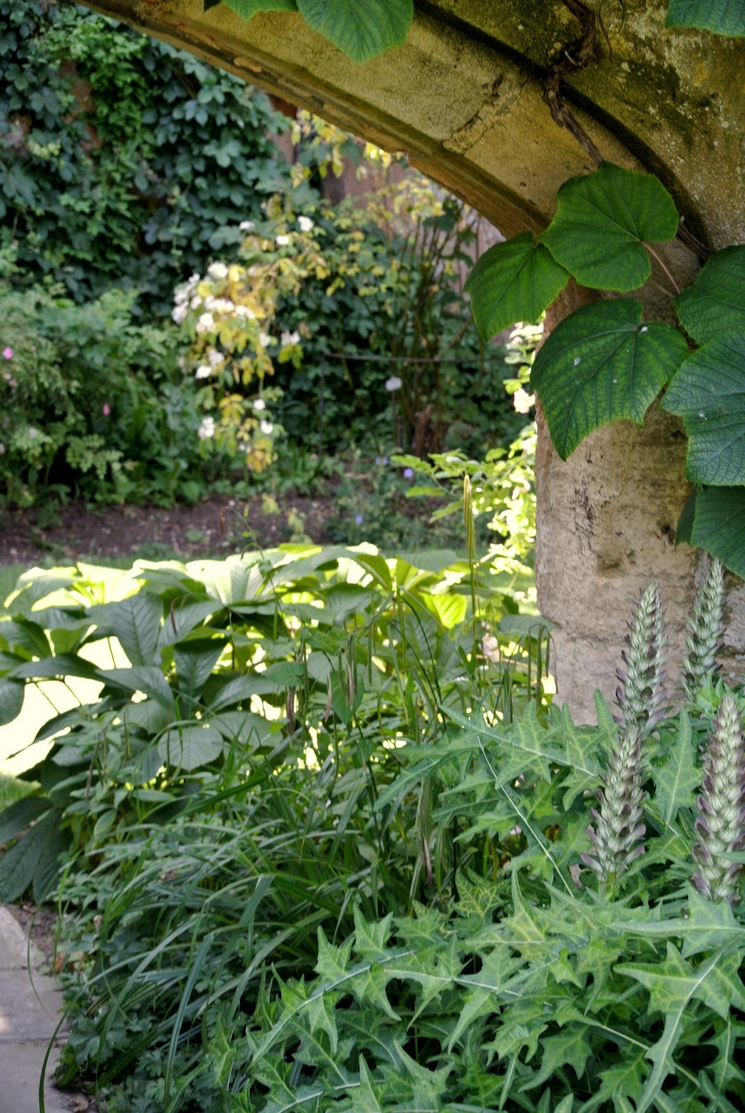 HAVETID: Engelske haver 4. del.