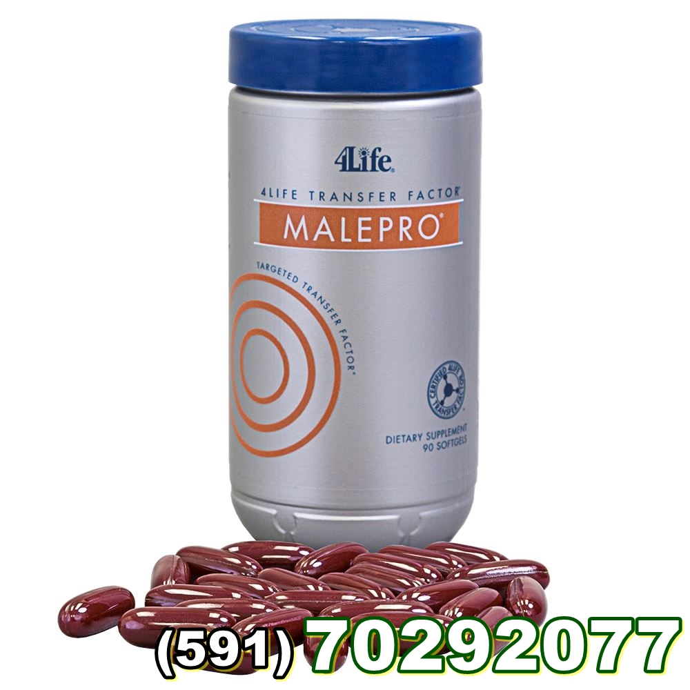 FactoresdeTransferenciaSantaCruz - La Compañía del Factor de ...