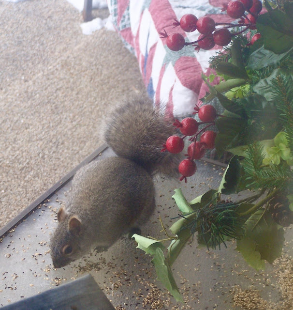 Somethings Old, New, Green, Redo!: Midwest Gardening: Snow, Critters ...