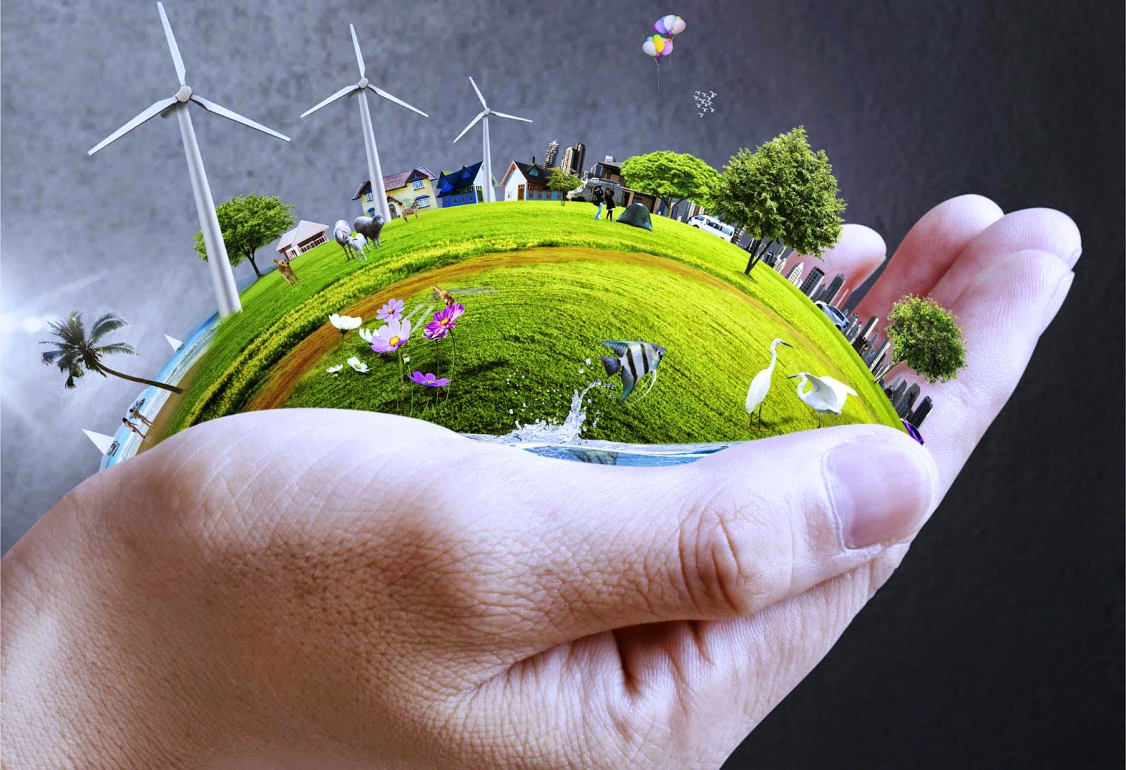 ESTRUCTURA Y FUNCION DE LOS ECOSISTEMAS: ESTRUCTURA Y FUNCION DE LOS ...