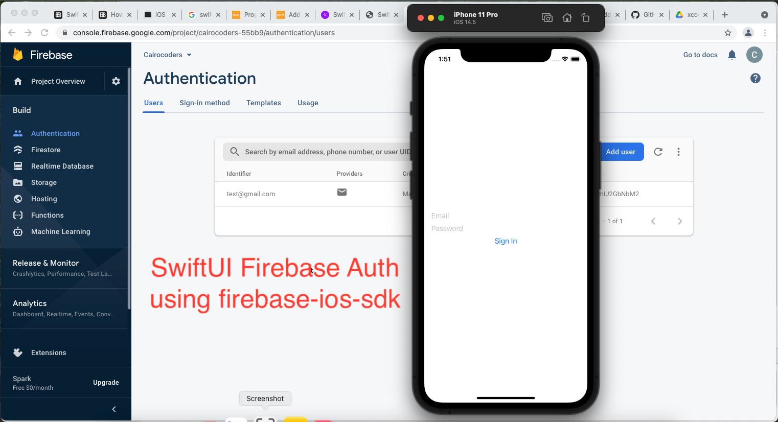 SwiftUI Firebase Auth using firebase-ios-sdk | Tutorial101