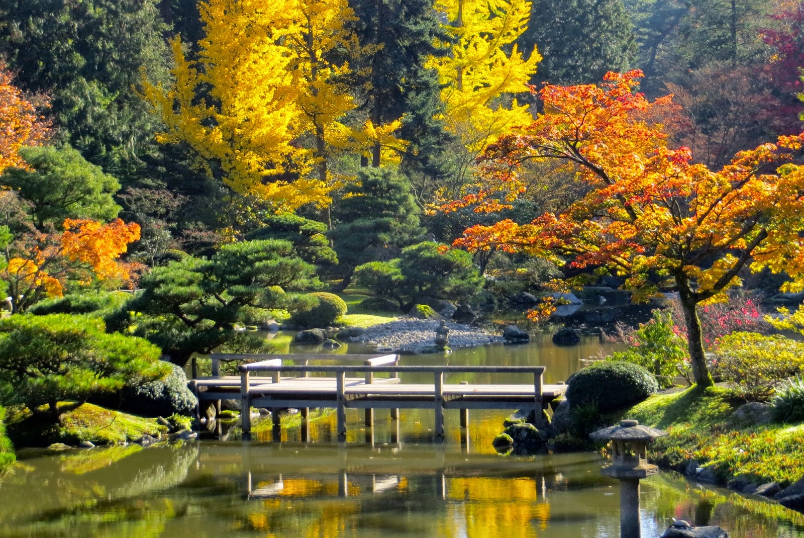 Seattle Japanese Garden Community Blog: February 2015