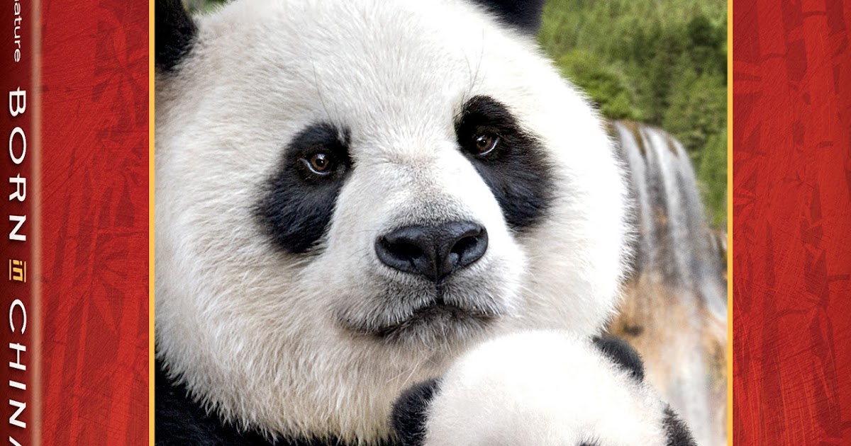 Susan's Disney Family: Disneynature’s newest true-life adventure film ...