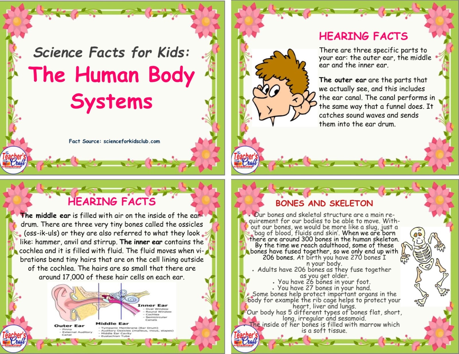 Human Body System Facts zip The Teacher s Craft human-body-system-facts-zip-the-teacher-s-craft