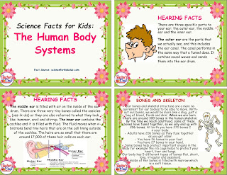 Human Body System facts (zip) - The Teacher's Craft