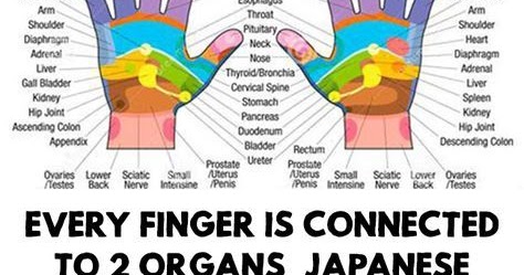 Every Finger Is Connected With 2 Organs: Japanese Methods For Curing In ...