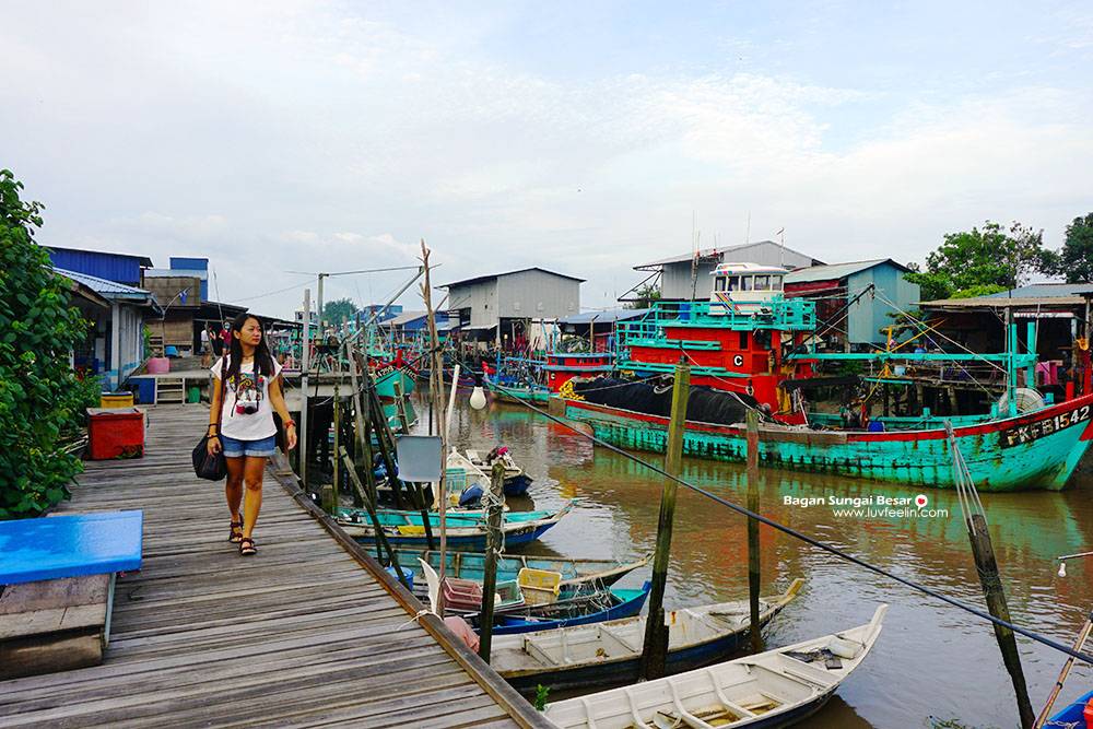 Bagan Sungai Besar 两天一夜【大港渔村深度旅游】淘海宝出海看蓝眼泪！ - 乐飞翎 ♥ LUVFEELIN