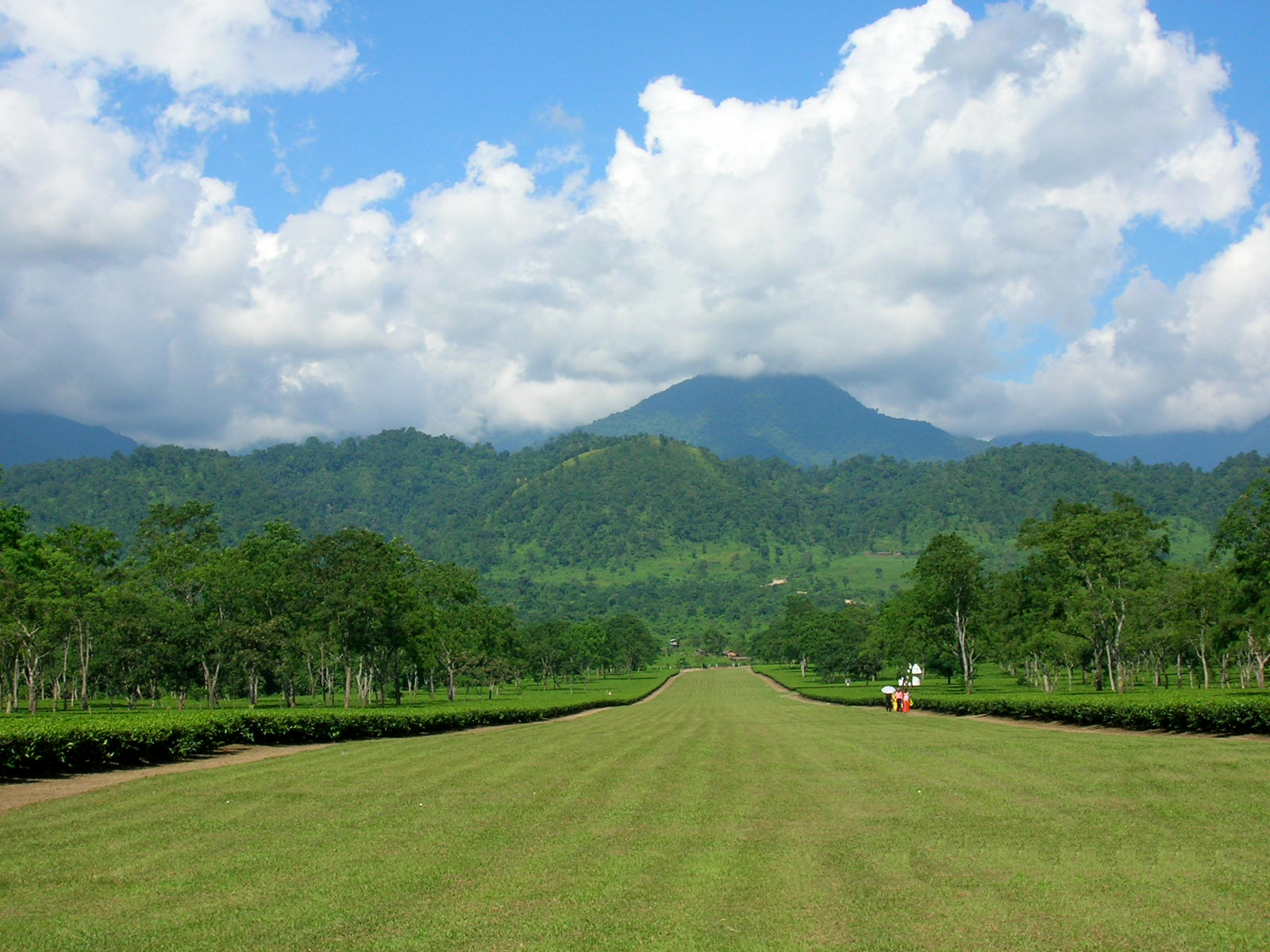 Paradise Northeast: Assam