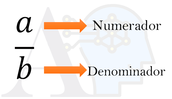 Autodidacta: Partes y tipos de Fracciones
