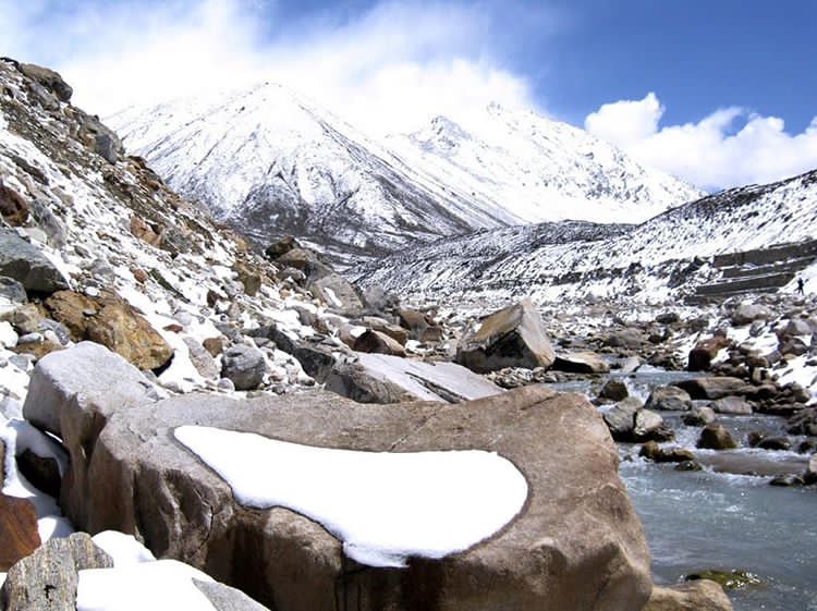 Travelling with Olive