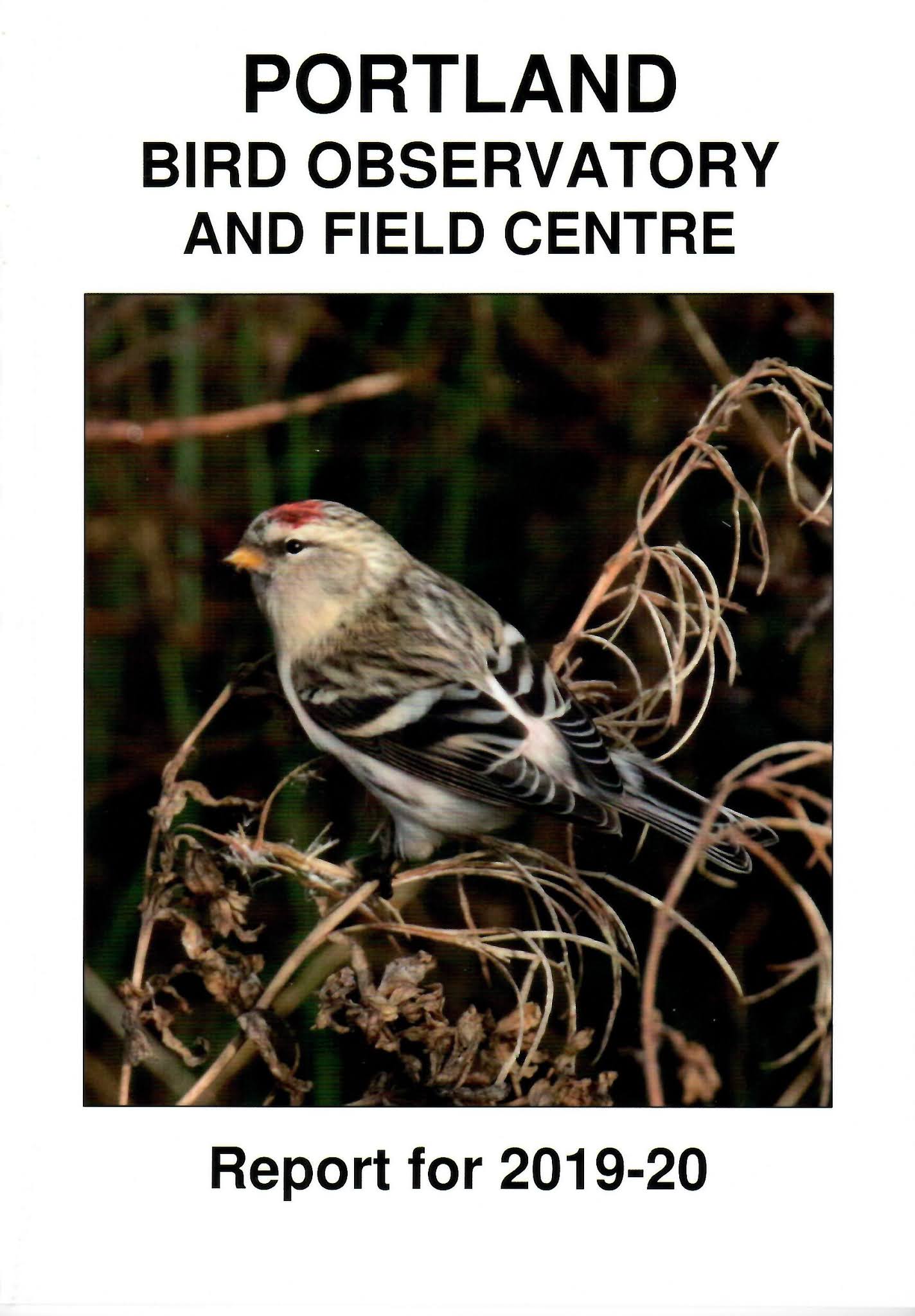 Portland Bird Observatory and Field Centre