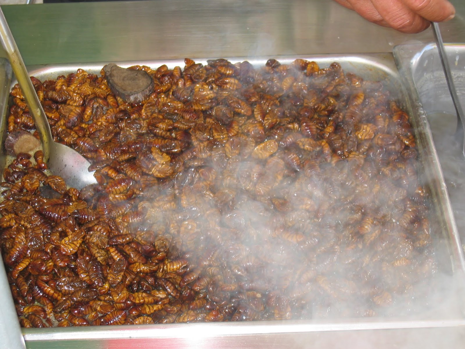 [Food] Beondegi (번데기, Silkworm Pupa) ~ peacebreeze