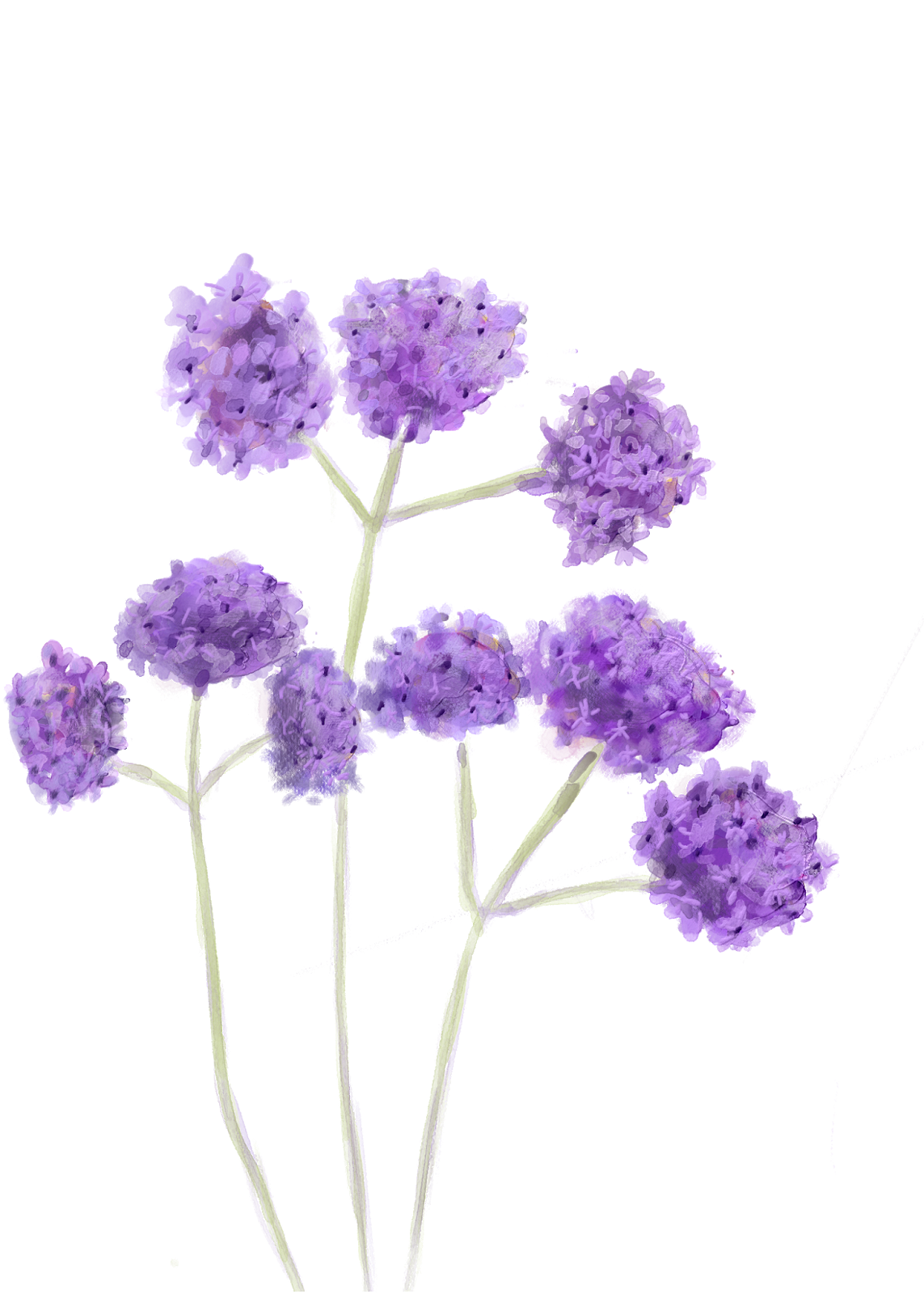 Whimsical Flowers Clip Art
