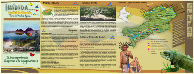 ALCALDÍA DE INÍRIDA