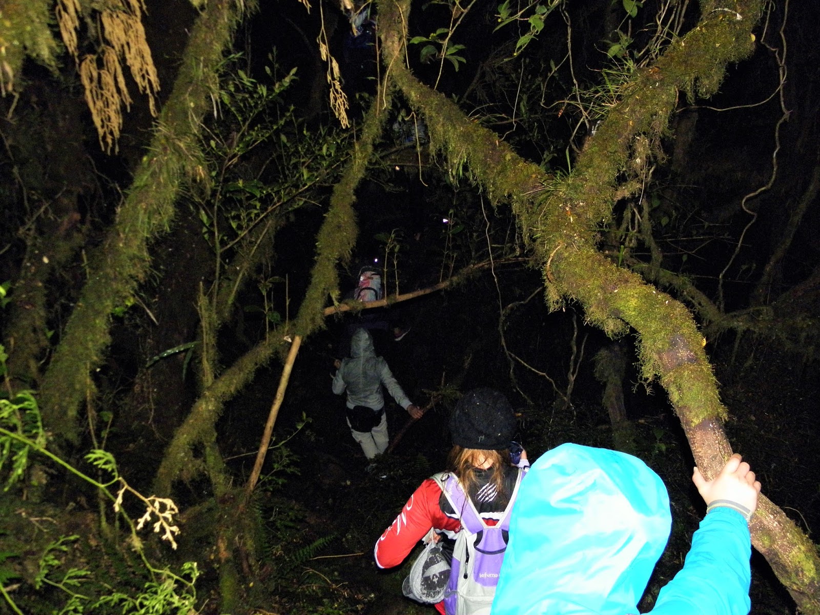 Hiking The Monkey Trails Of Mt. Tabayoc In Kabayan, Benguet