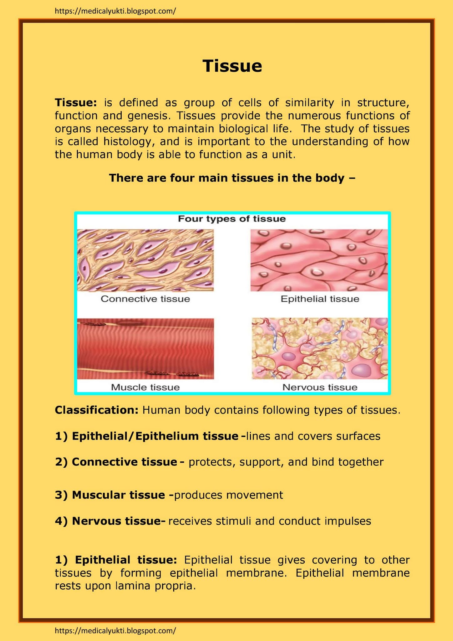 Tissue Anatomy and Physiology - Medical Yukti
