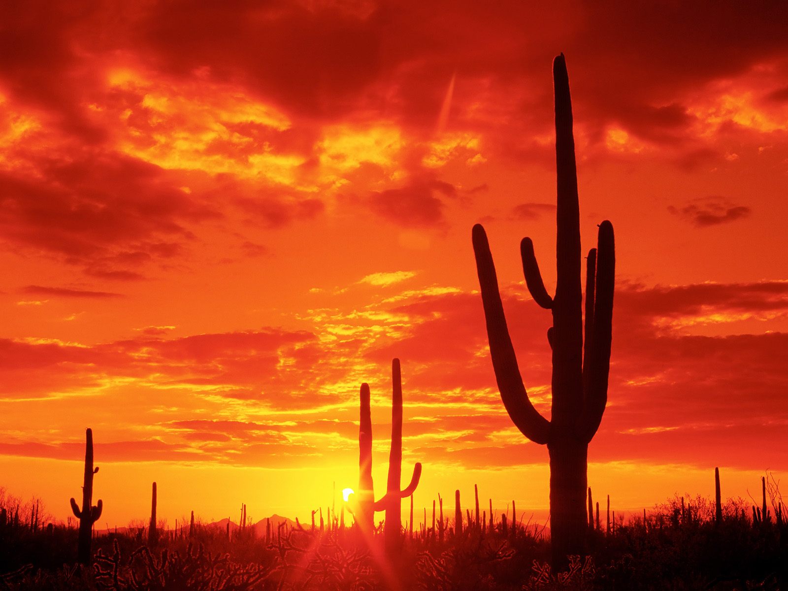 WESTERN SUNSET ~ DESKTOP WALL PAPERS
