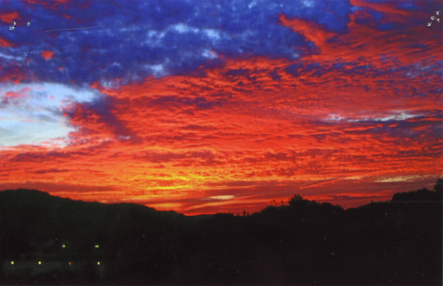 Murrysville Photo Contest: 2012 C) Scenery and Plant Life