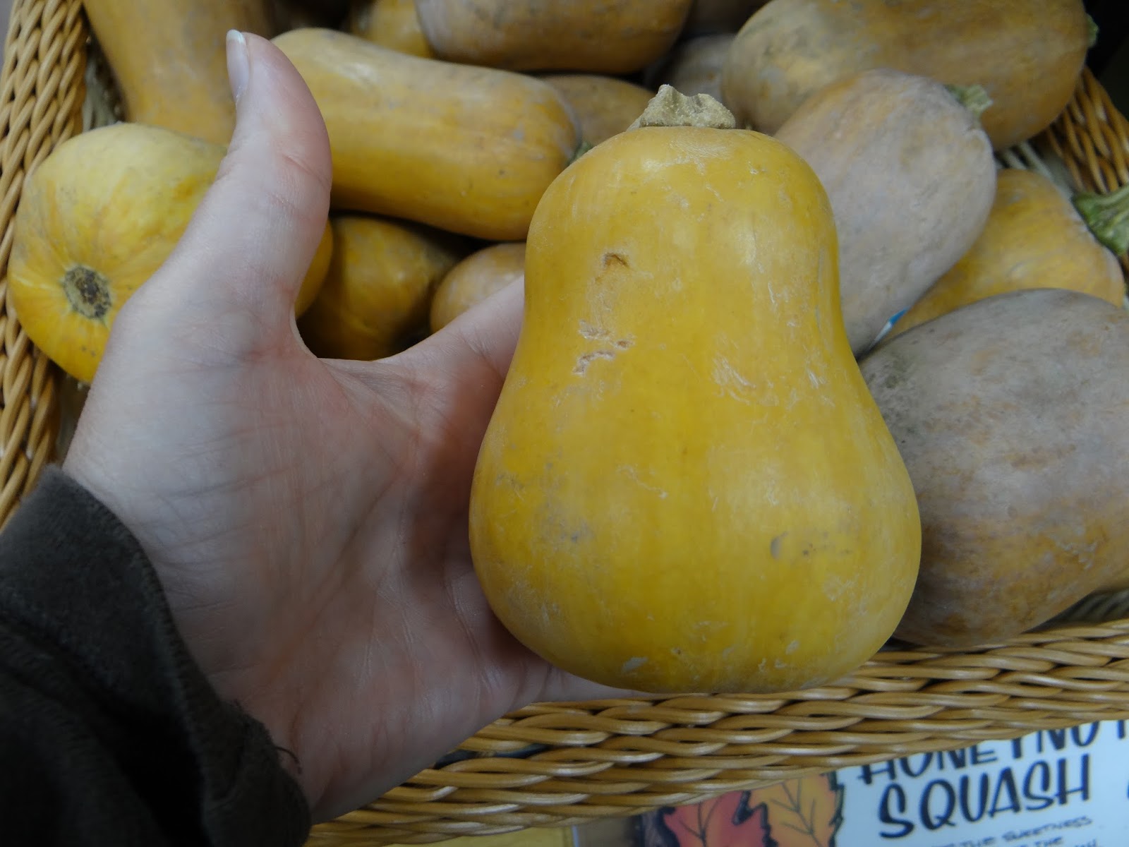Trader Joe's 365: Teeny Tiny Honeynut Squash are Back in SEASON!