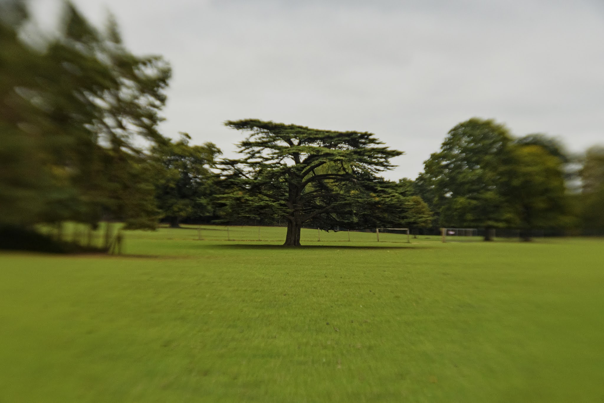 Enjoy your time with beautiful places: Warnham Nature Reserve and ...