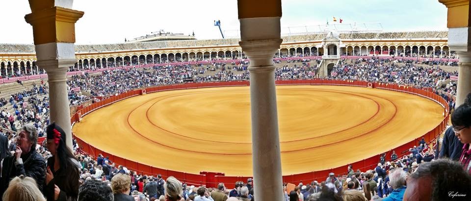 El Paseillo: SEVILLA QUIERE...