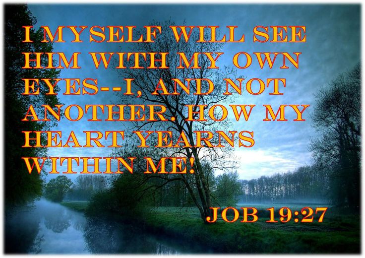 MarkDaniels.Blogspot.com: With My Own Eyes, I Shall See God