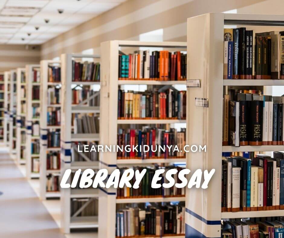 Library Essay | Library Essay With Quotations | Library Essay Website ...