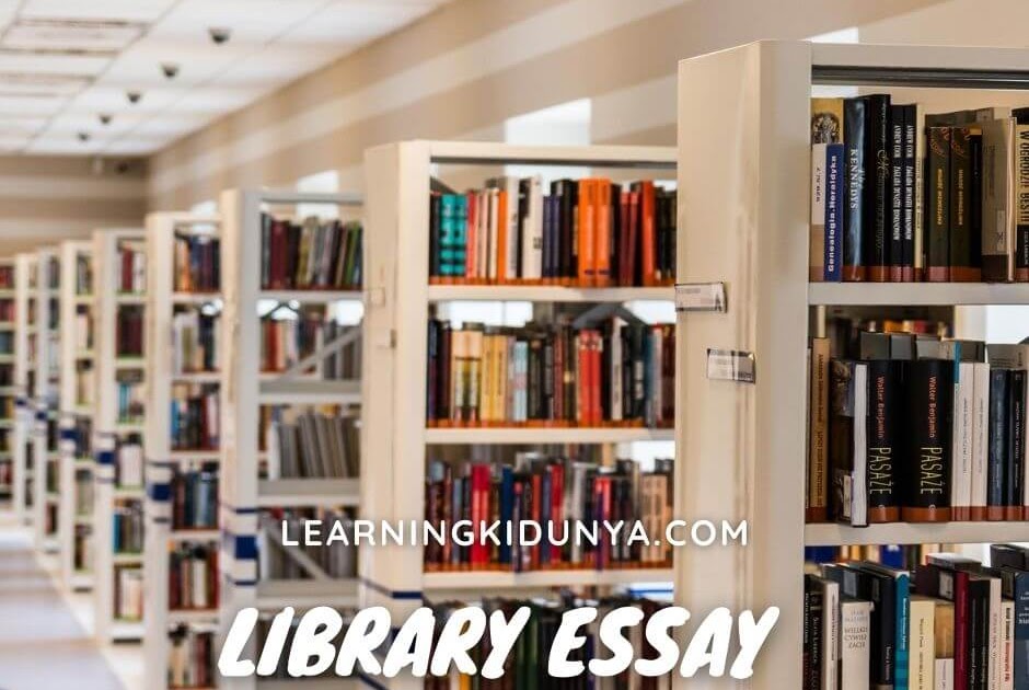 Library Essay | Library Essay With Quotations | Library Essay Website ...