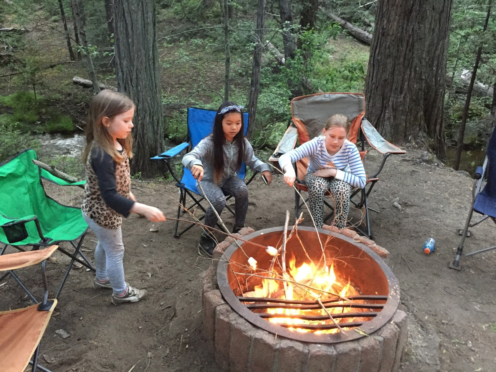 Miyu's Life: Memorial Weekend Camping! メモリアルウイークエンドのキャンプ！