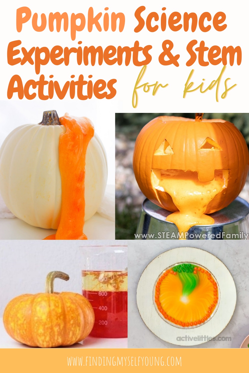 16 Pumpkin Science Experiments & STEM Activities for Kids | Finding ...