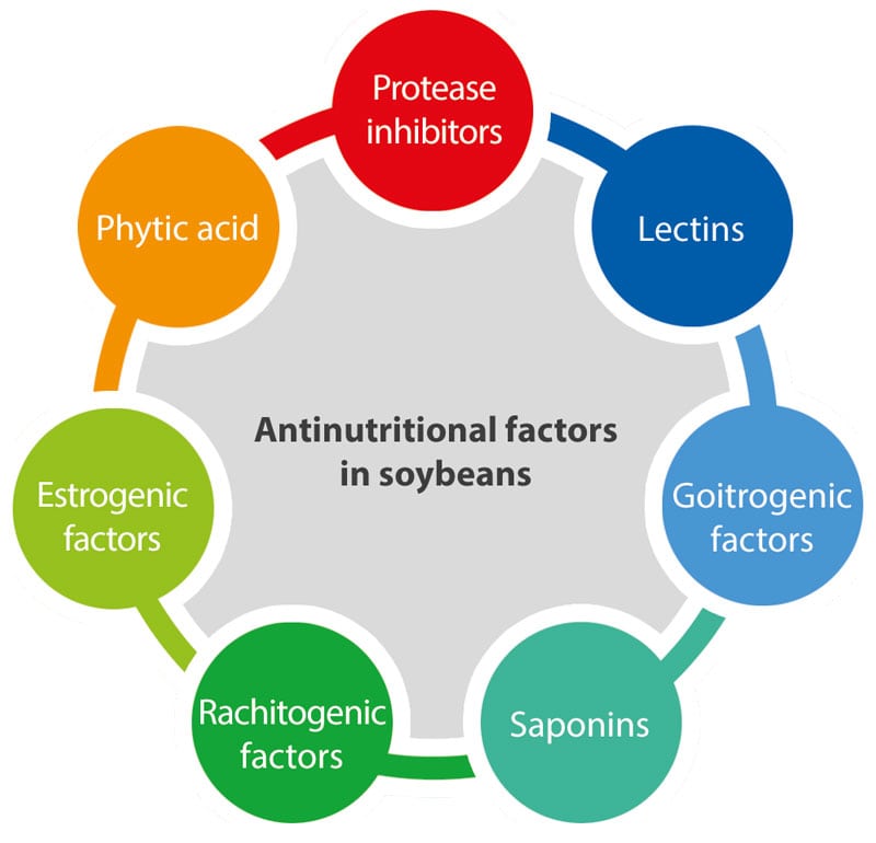 CHEMICAL, ANTI-NUTRITIONAL FACTORS AND SENSORY PROPERTIES OF MAIZE ...