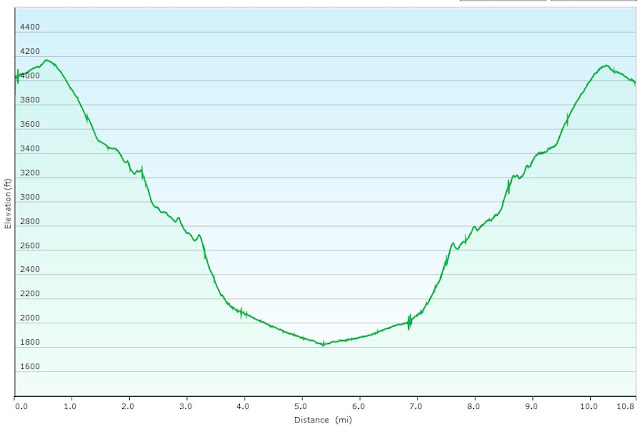 Wandering Virginia: Sugar Run Trail - GWNF