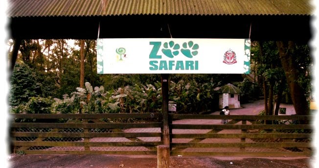Zoo Safari ou Simba Safari - Diversão para Crianças e Adultos
