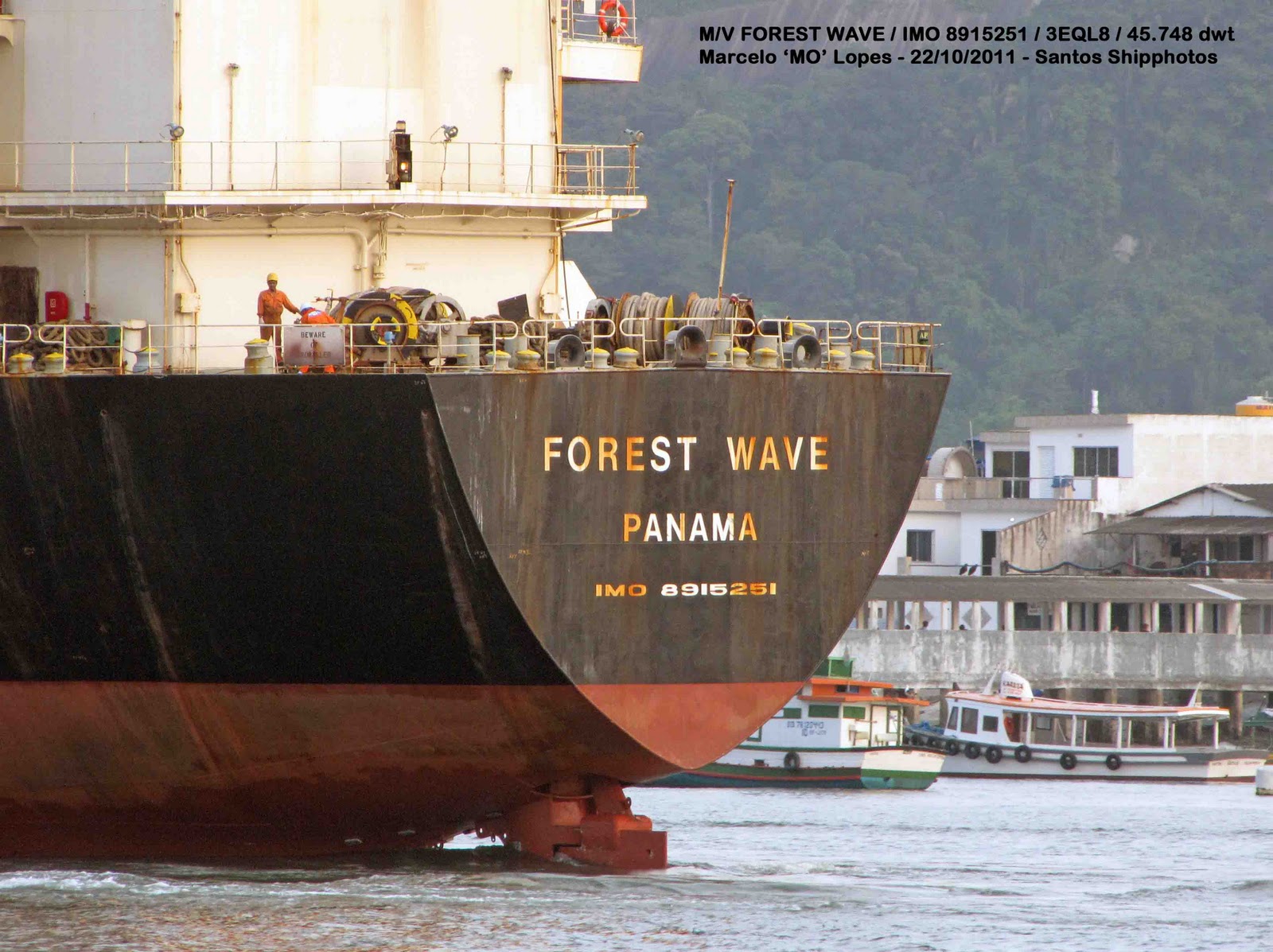 Santos Shiplovers: M/V Forest Wave / 3EQL8 - Um Wood Chip Carrier