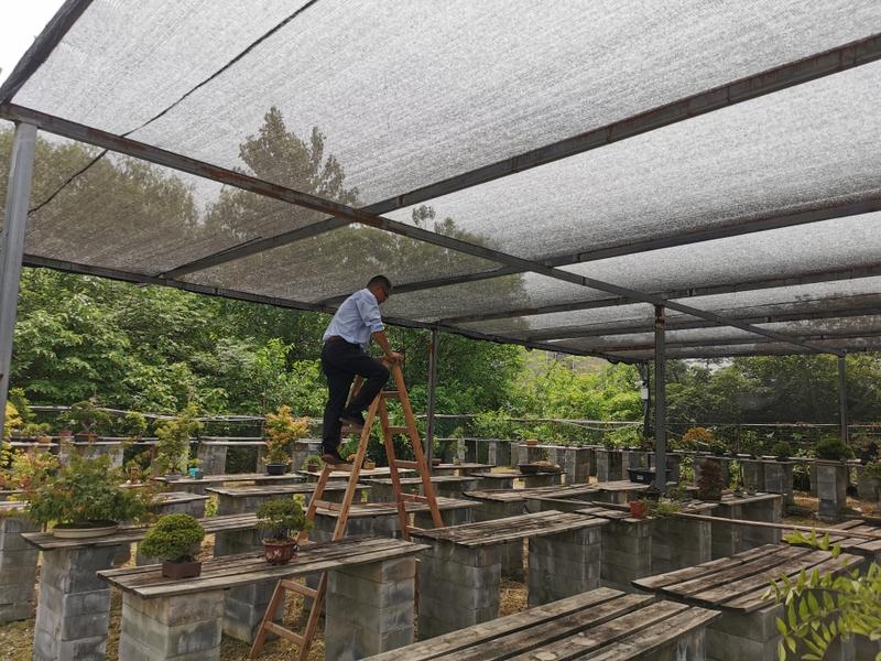 Memahami Pentingnya Harga Paranet Solo Solusi Terbaik Untuk Proteksi ...