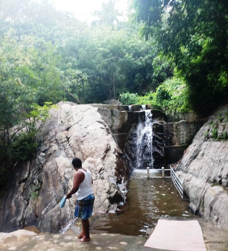 Bonsai Bumblings: Kutralam and Tenkasi Diaries - Places to Visit and ...