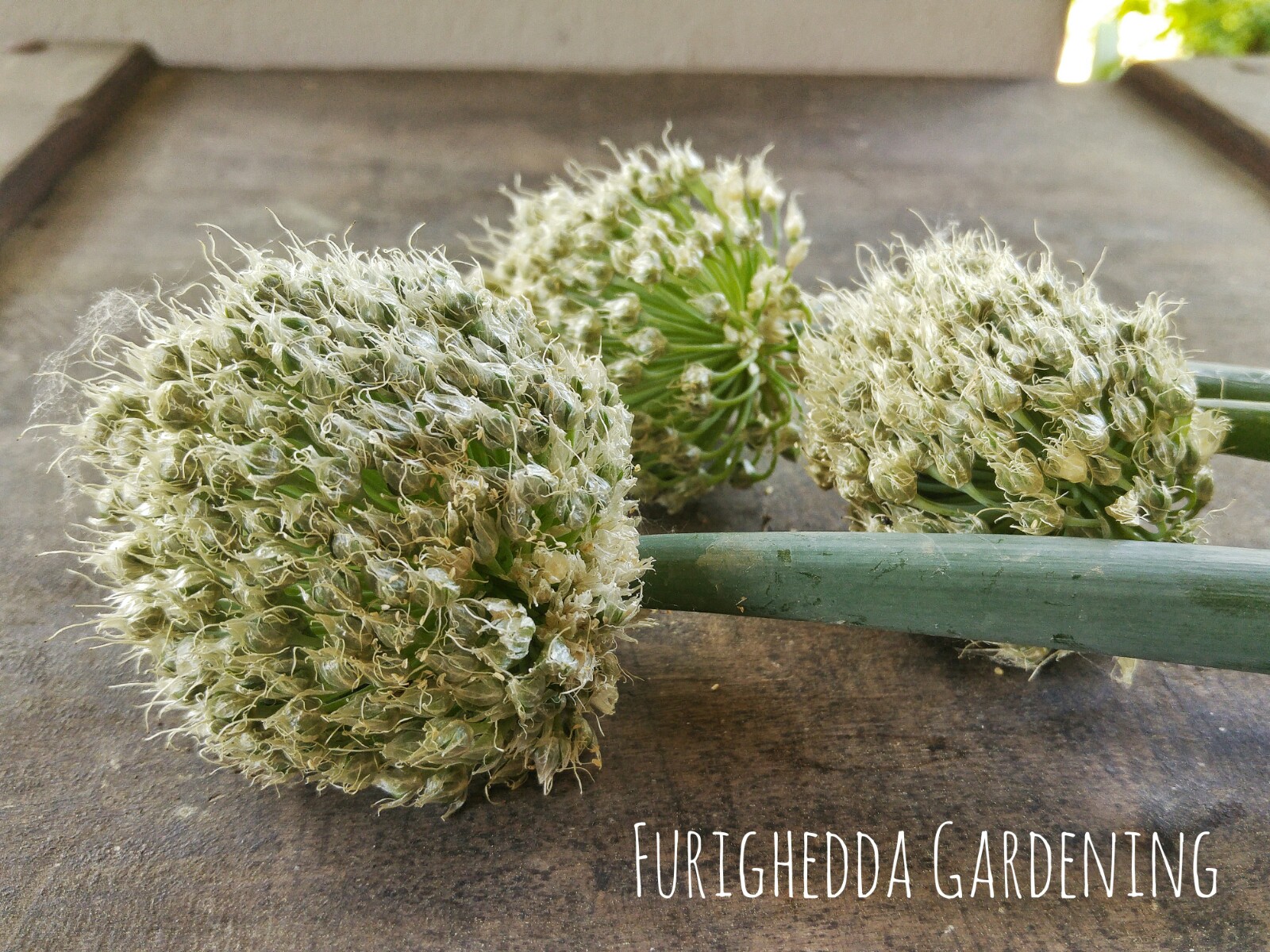 Un bouquet fra orto e giardino - by Serena/Josie