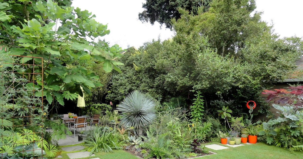 danger garden: U.G.L.Y. obscured (finally!)