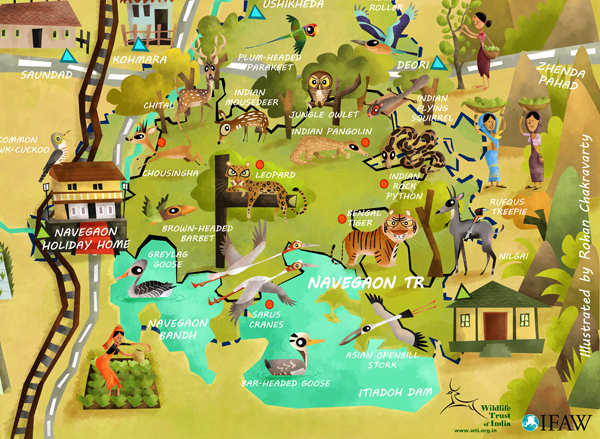Green Humour: Nagzira Navegaon Tiger Reserve- An Illustrated Map