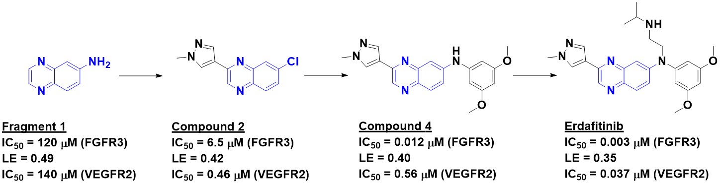 Practical Fragments: The story of erdafitinib – abridged