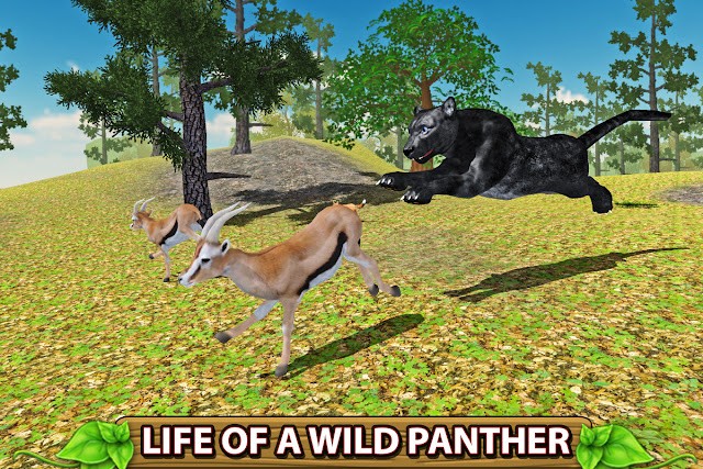 Glufun Games: Furious Panther Simulator
