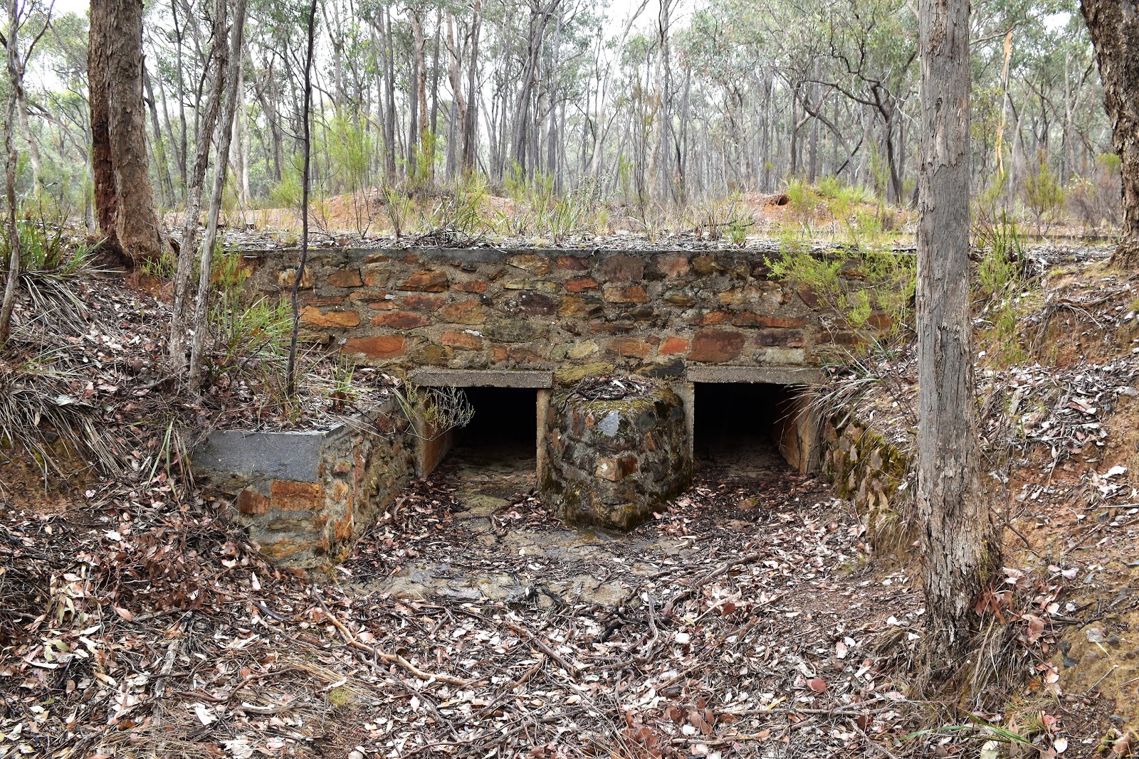 Goin' Feral One Day At A Time: Mandurang Walk, Greater Bendigo National ...