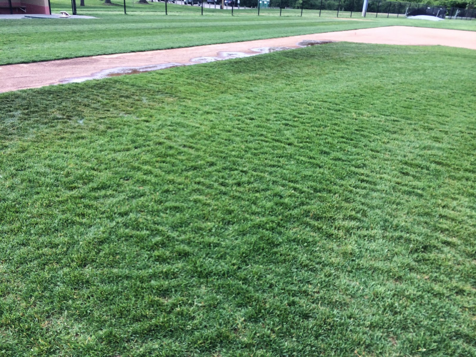 Smart Turf: Be on the Lookout for Dry Turf Conditions