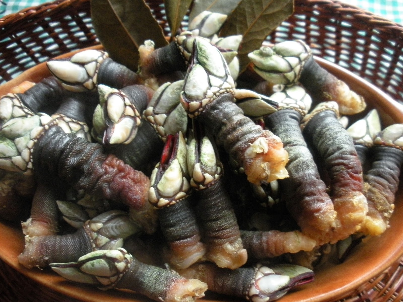 Aquí se cocina: Percebes cocidos