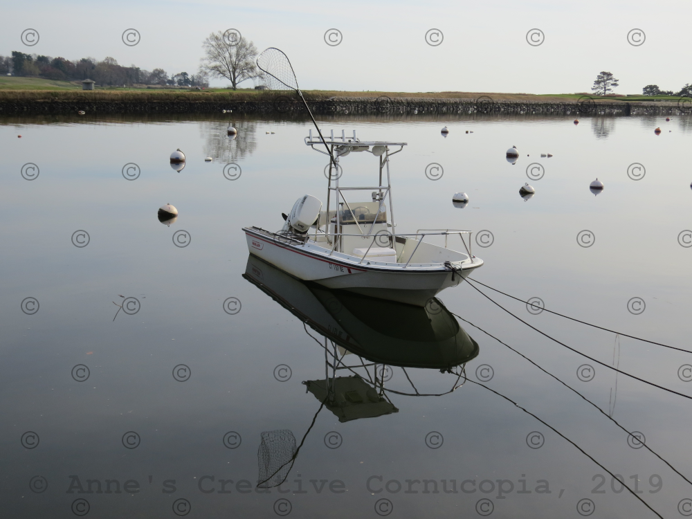 Anne's Creative Cornucopia: Harbor Reflections - Photograph