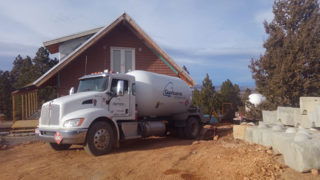 ME AND MANZANITA: 2021